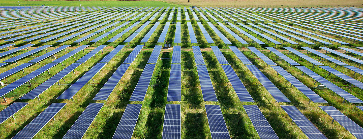 Agri-PV - an overview | ENGIE Deutschland